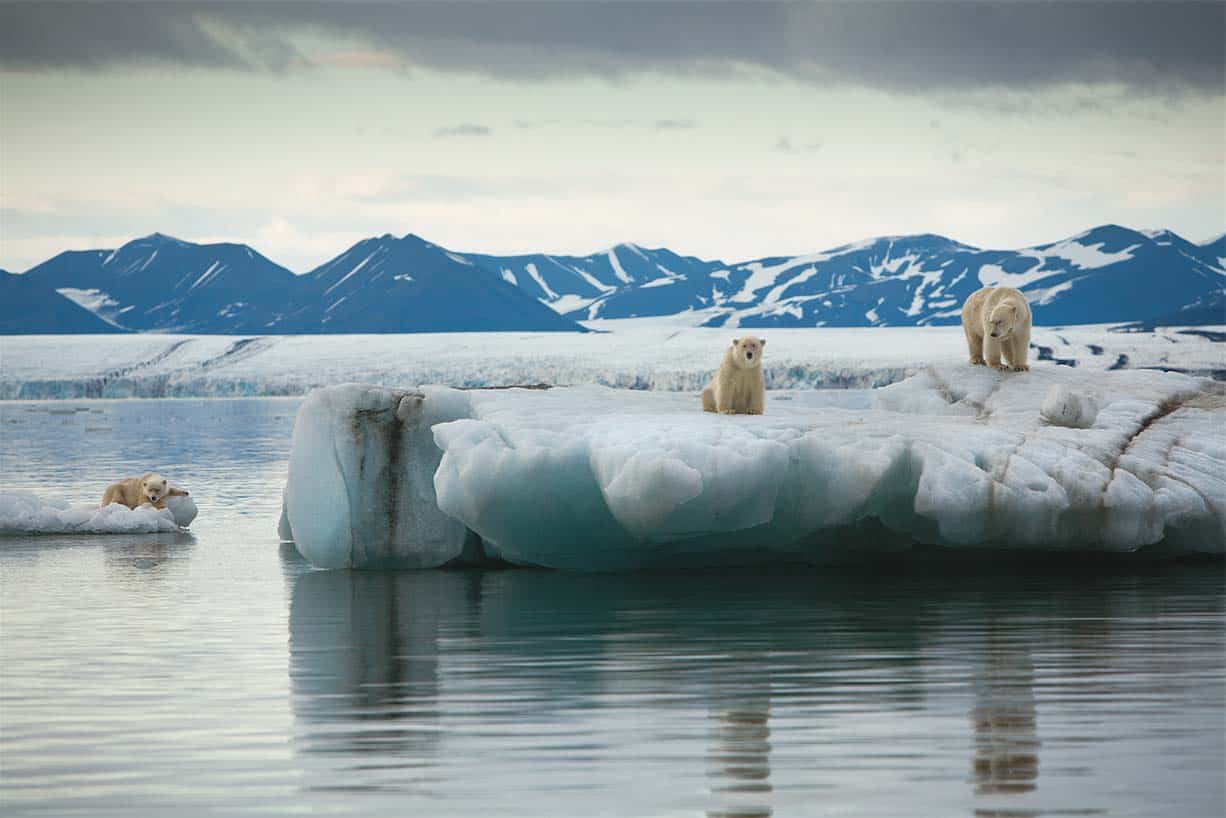 First Boat to Row Around Svalbard - SUBTECH SPORTS